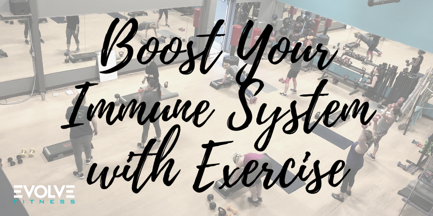 Immune System And Exercise - Evolve Fitness 24 Hour Women's Only Gym
